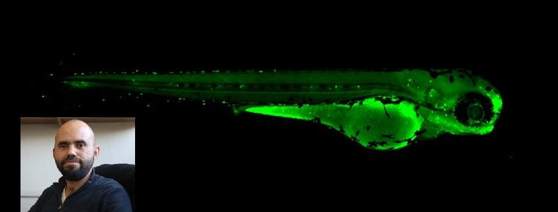 Facultad de Ciencias
